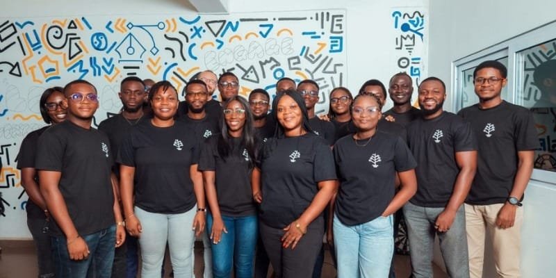 Ghanaian AI Startup Aya Data Raises $900,000 Seed Round To Expand AI ...